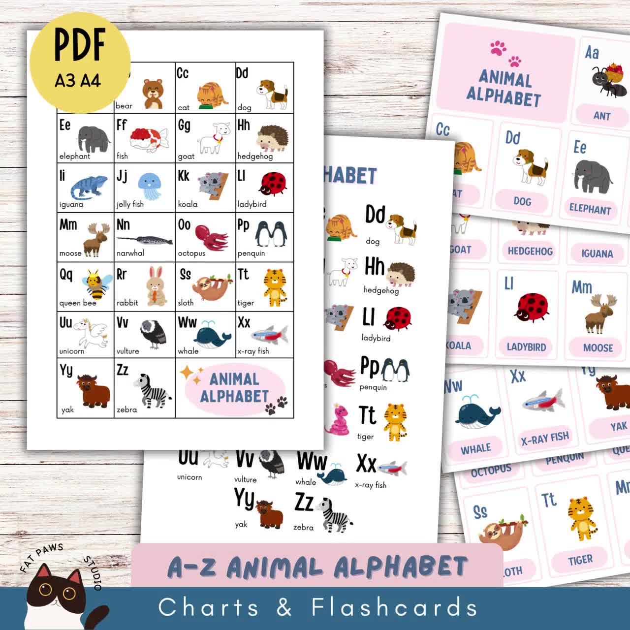 Animal Chart A4 Size