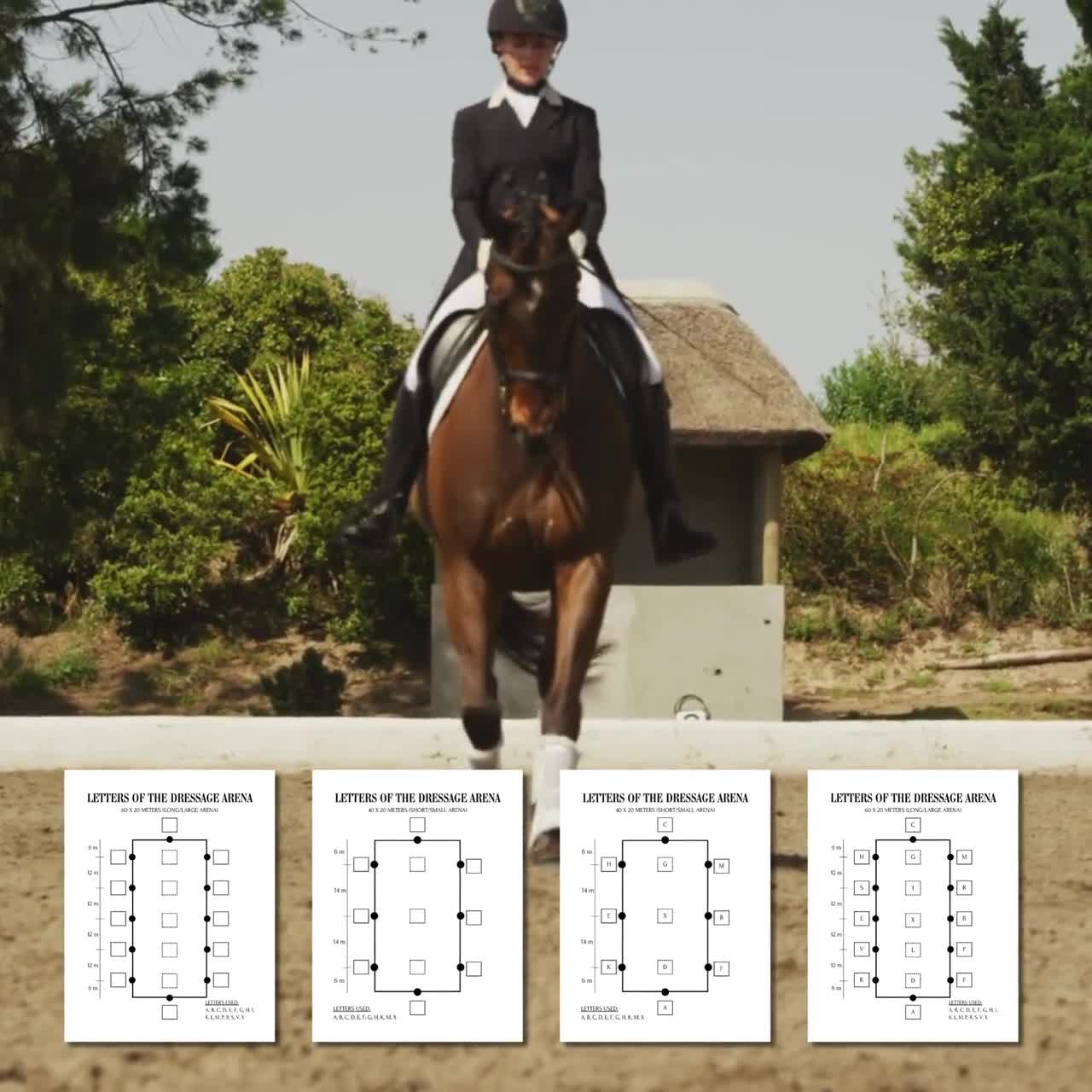 Small Dressage Arena Diagram 28 Horse Barns Ideas | Horse Barns, Horse