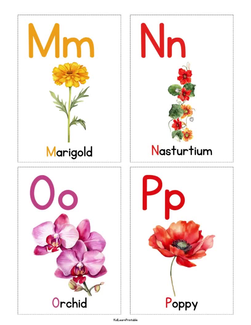 Spectrum Preschool Kids Learning Laminated Flowers Name FREE FLOWER
