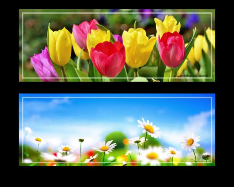Facebook Cover Photos For Spring Hello Spring~~J