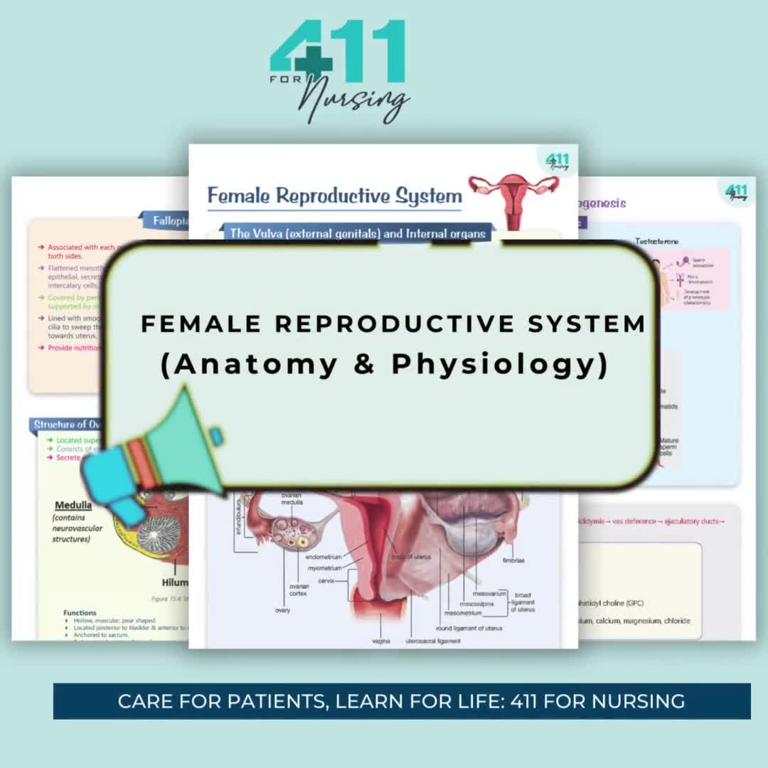 Female Reproductive System Nursing Notes Reproductive