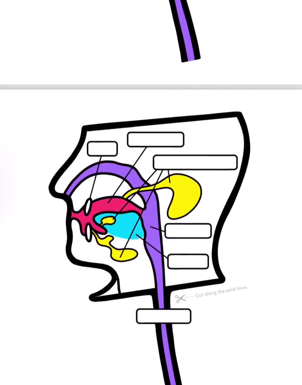 Digestive System Printable Cutouts