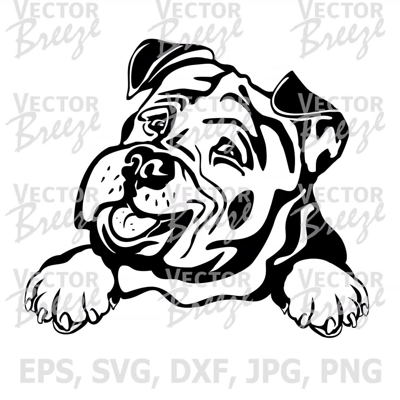 American Bully SVG AI Jpg Png Eps Digital Download Cut