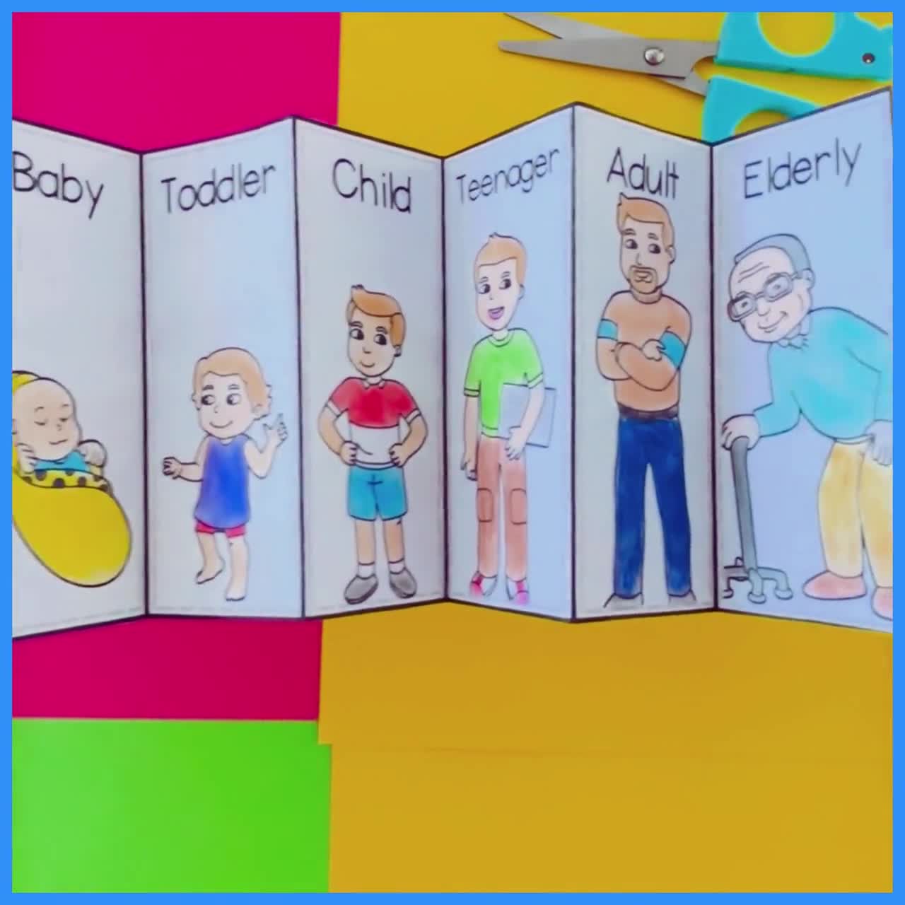 Human Life Stages Worksheet