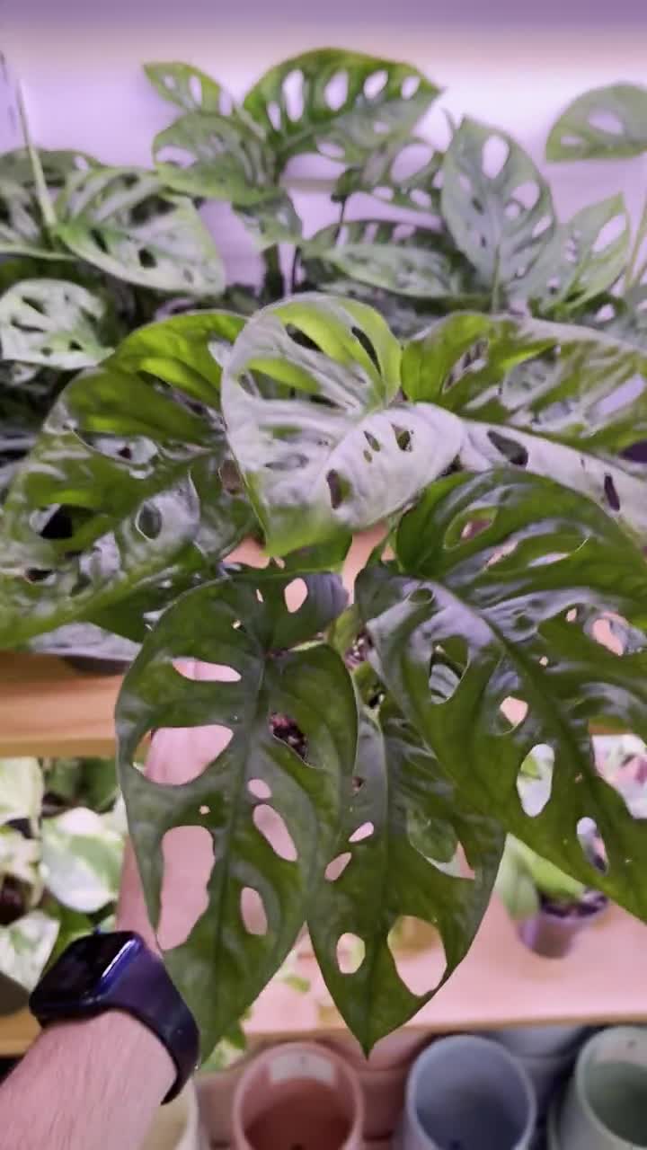 Kimberly Roden's Instagram, Twitter & Facebook on IDCrawl