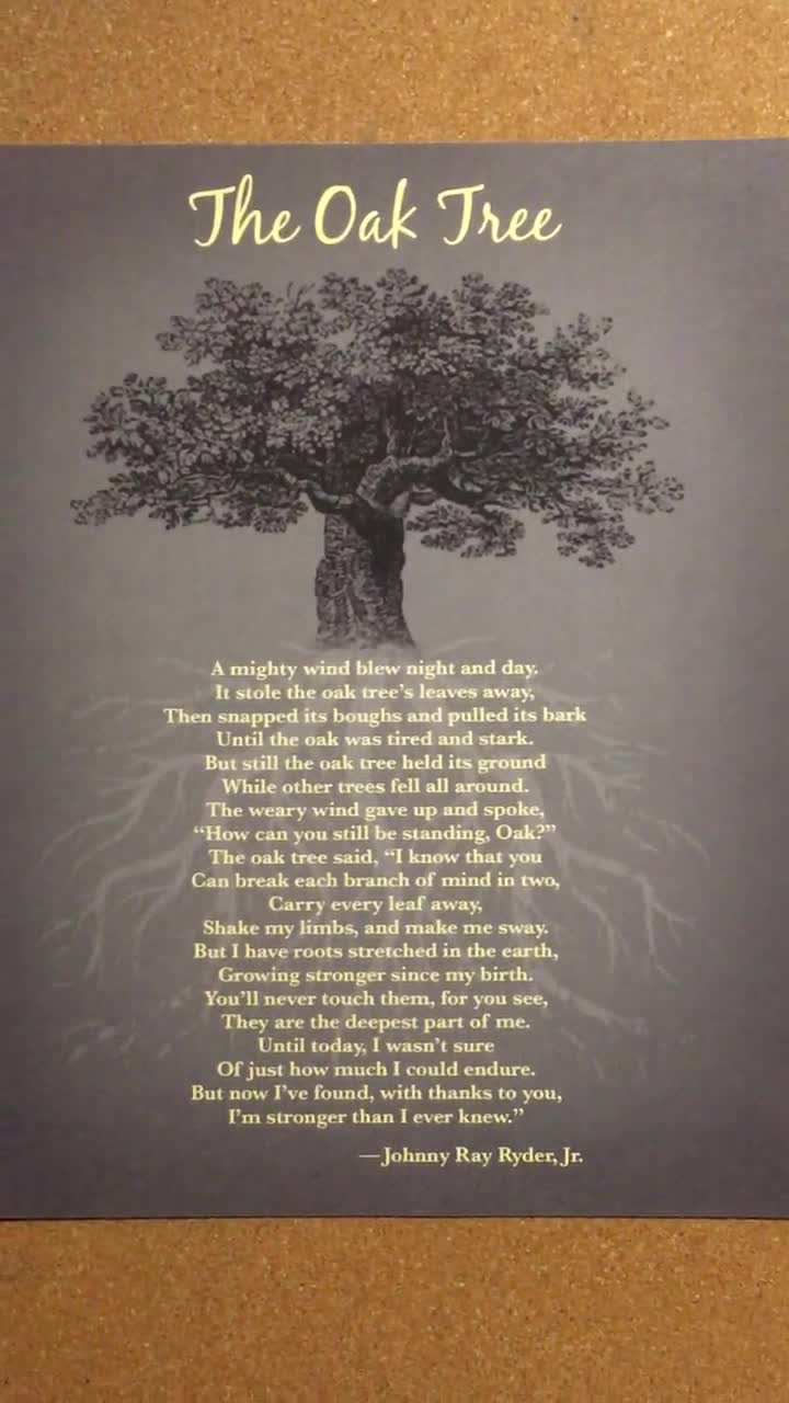 Old Oak Tree Poem