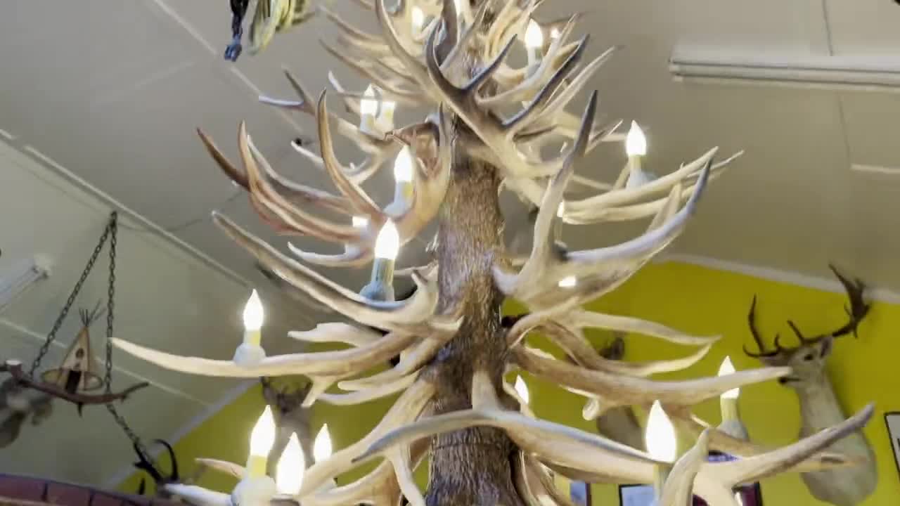 Whitetail Deer Antler Christmas Tree