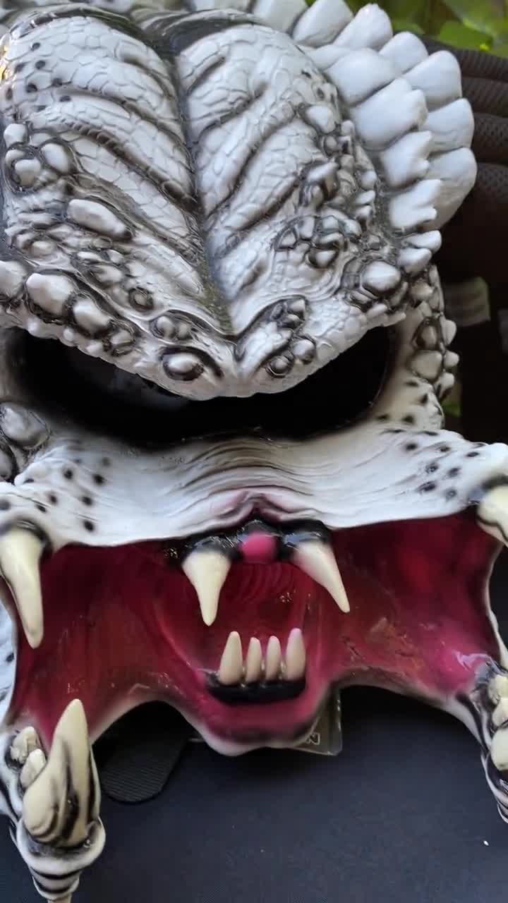 Custom Made Xenomorphic Skull Helmet Neatorama