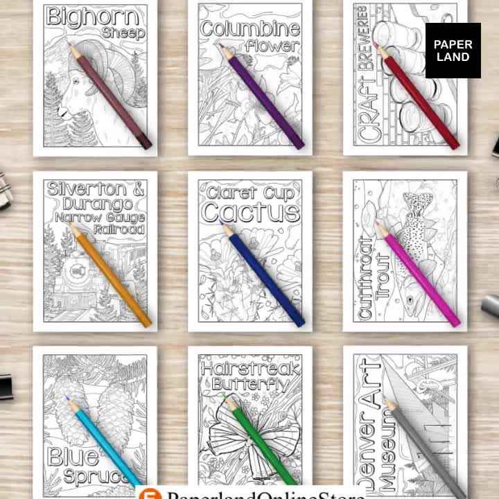 blue spruce coloring pages