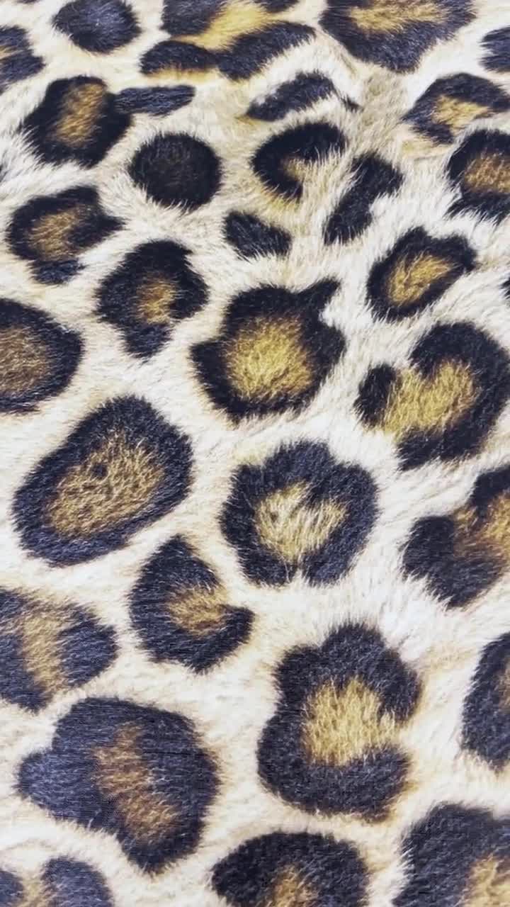 Animal Print Tumblr Background