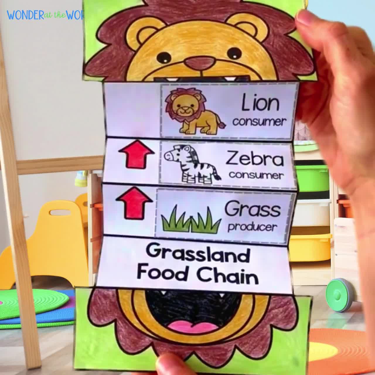 Food Chain Lion