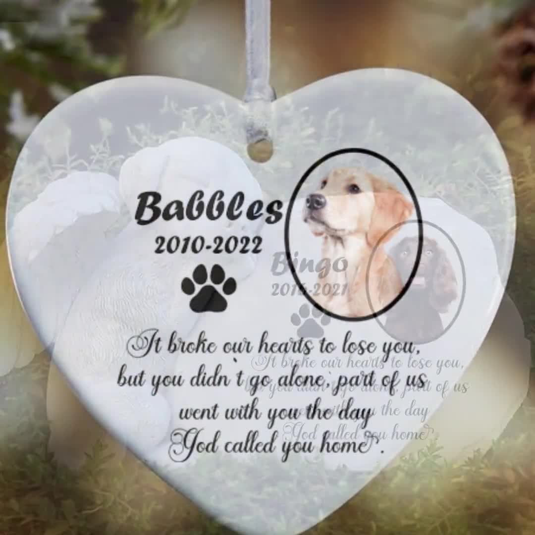 Dog Rest In Peace Quotes Springer Spaniel 'Waiting' Dog Bereavement