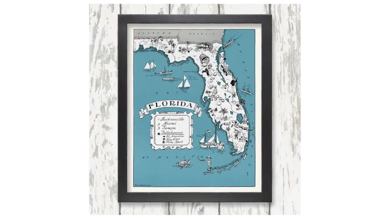 Florida Cartoon Map Tampa Florida Cartoon Map Throw Pillow By Kevin