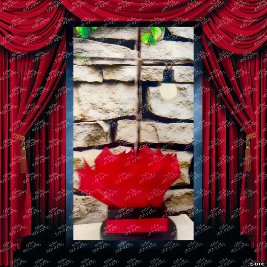 Magician Art Centerpiece