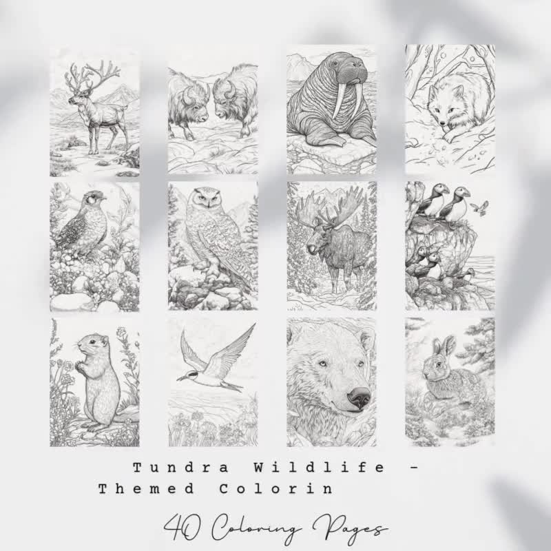 tundra coloring sheet