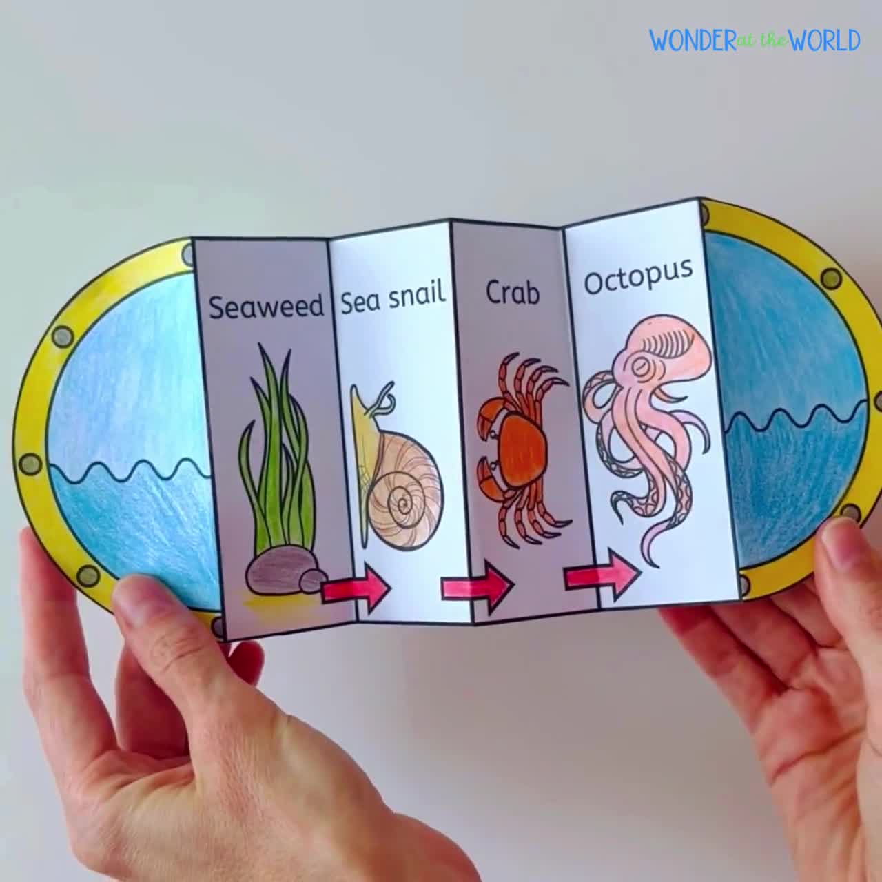 Food Chain Activity Free Printable 32 Cards From Stemmomorg Food