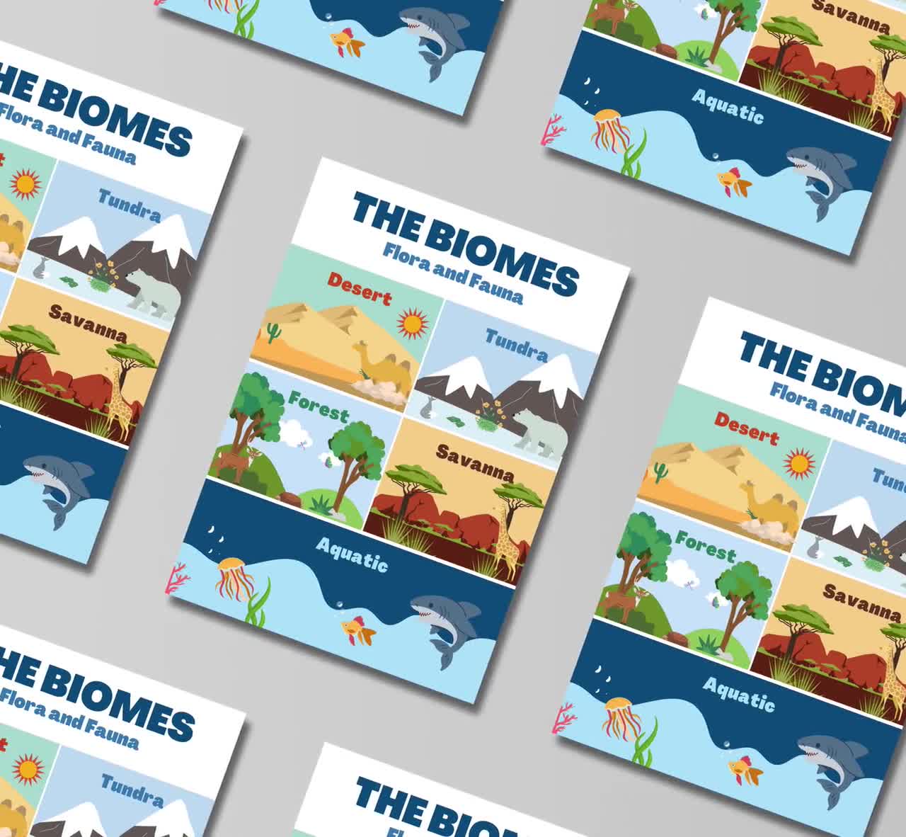 Biome Poster Ideas