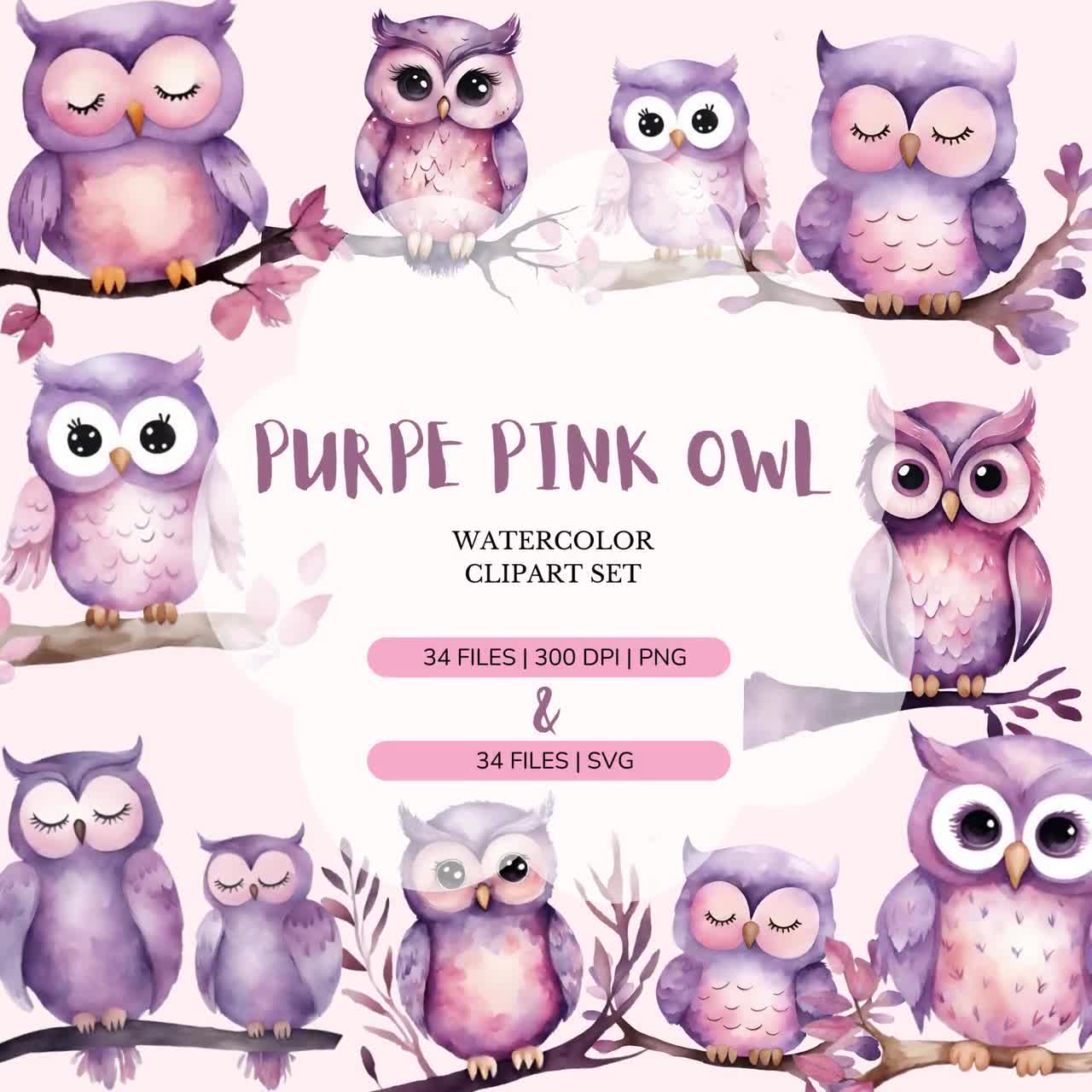Cute Pink Owl Art Amazon.com: Cute Pink Little Owl Wall Stickers,