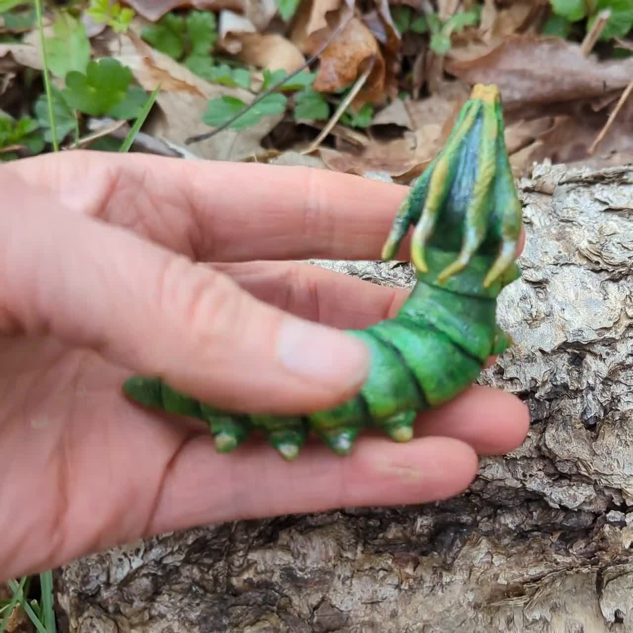 Dragon Caterpillar