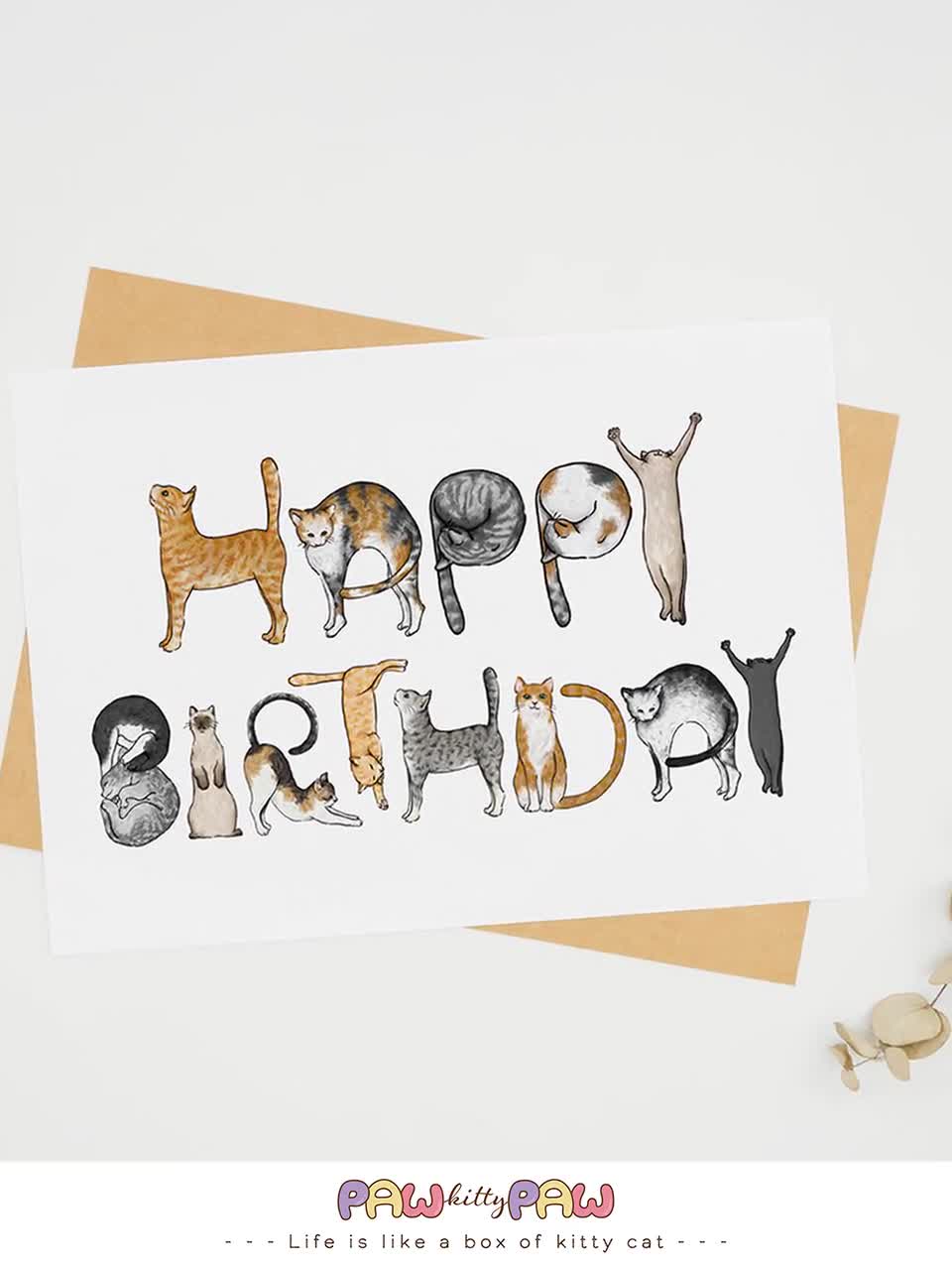 Happy Birthday Lolcat Lolcats Socks Page 2 LOL At Funny Cat