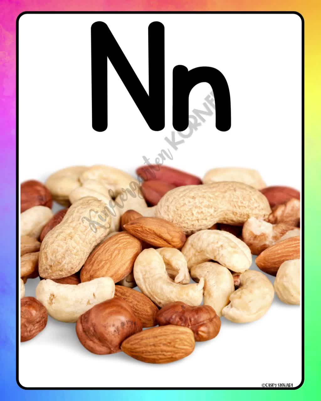 Alphabet Posters Realistic Photographs Classroom Decor Etsy