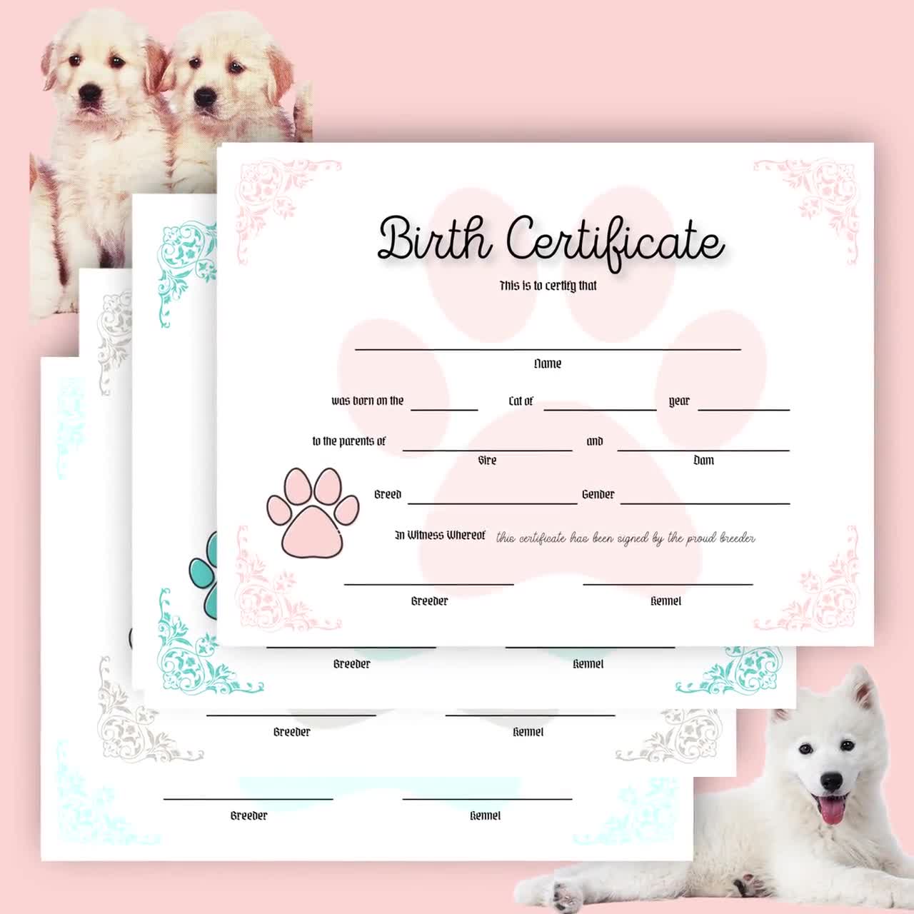 Modelo De Certificado De Nacimiento De Perro