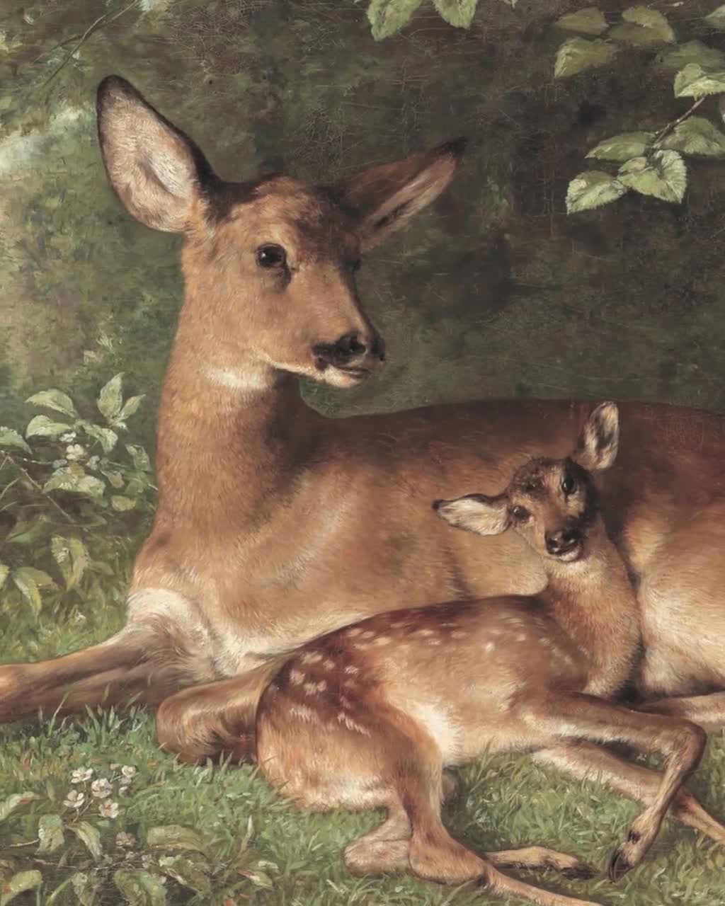 Whitetail Doe And Fawn Paintings Jai Johnson Deer Collection Wall Art