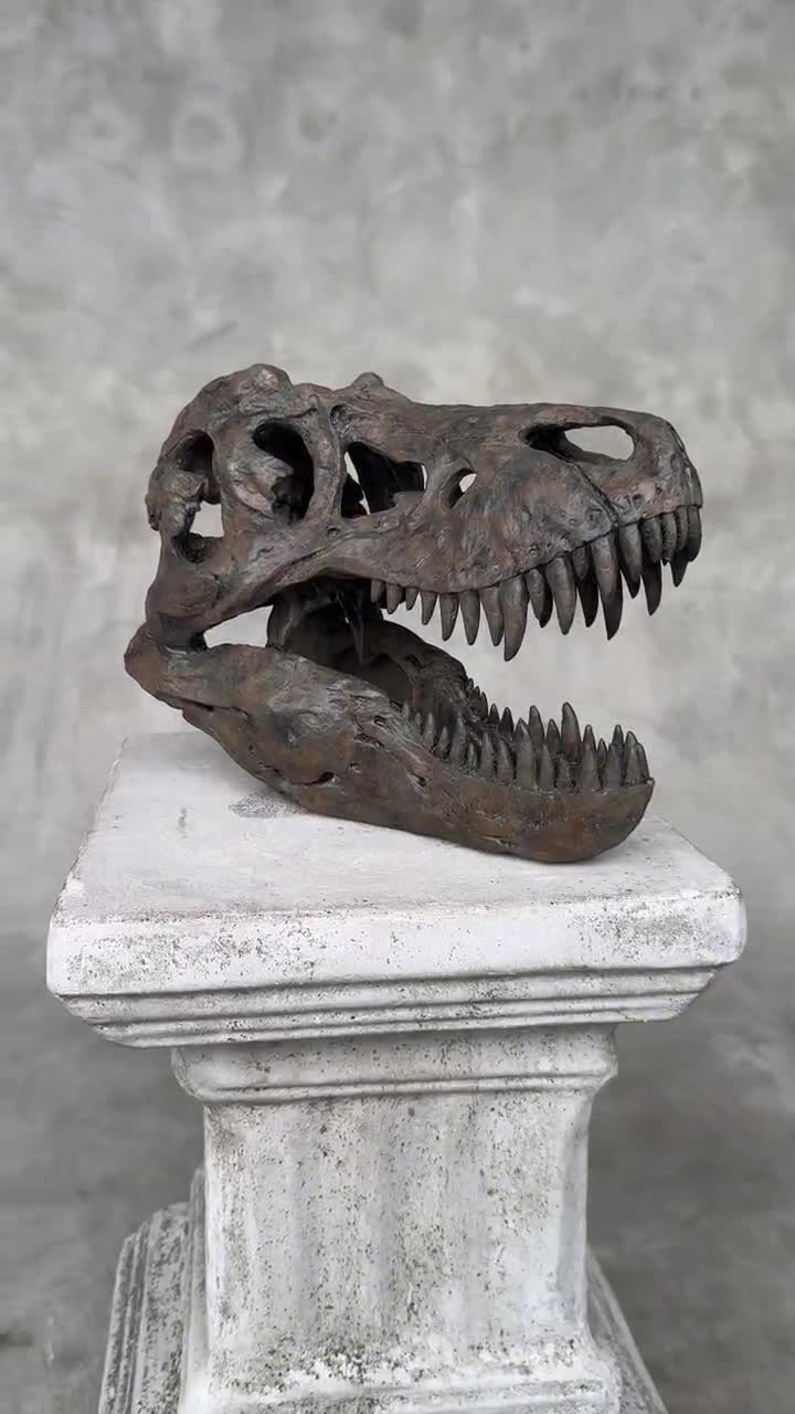 Bones For Sale T-Rex Hand Claw Replica - Museum Quality Dinosaur Fossil ...