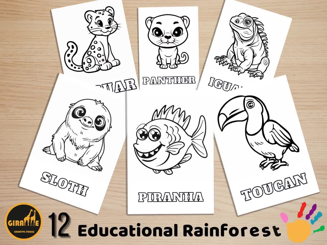 Preschool Rainforest Animals Coloring Pages Tropical Rainforest