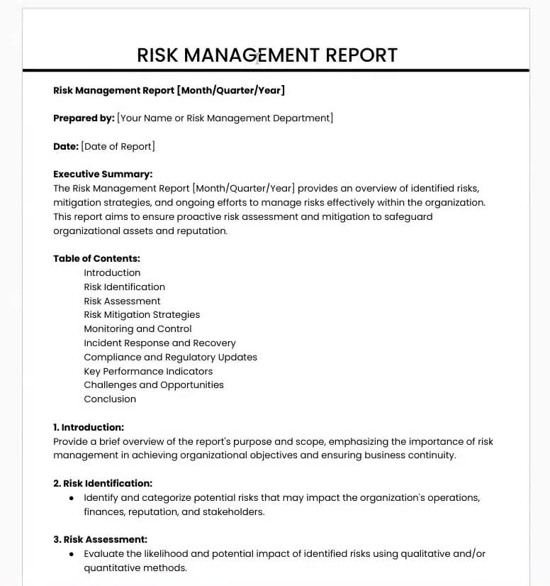 Enterprise Risk Management Report Template
