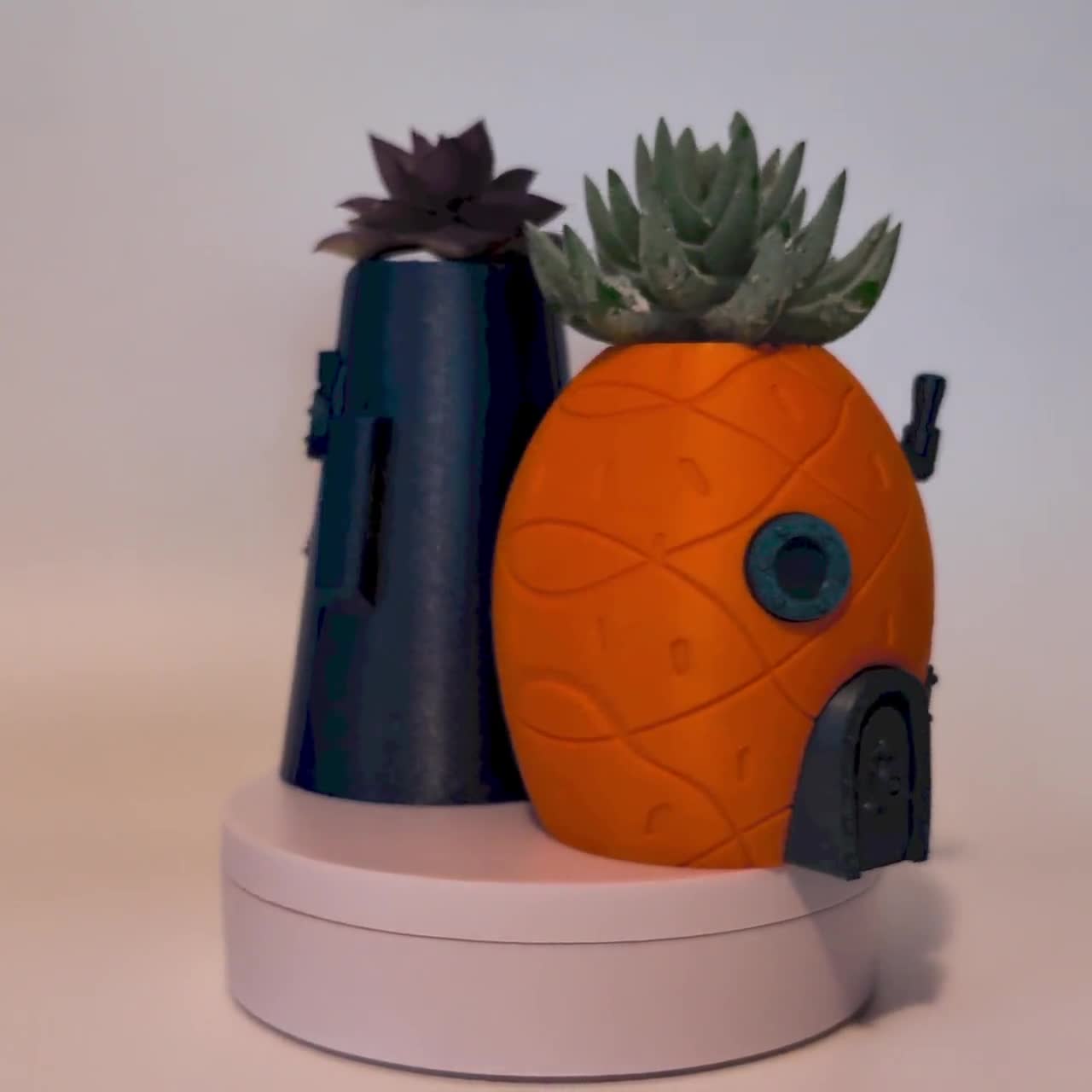 Echt Spongebob Huis