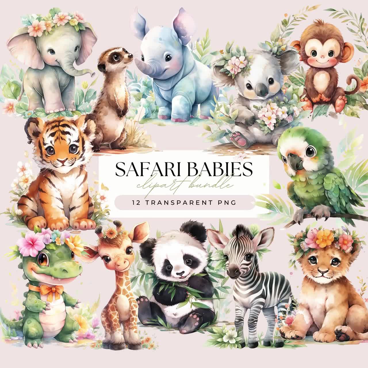 Baby Jungle Animals Background Baby Elephant Wallpapers Wallpaper