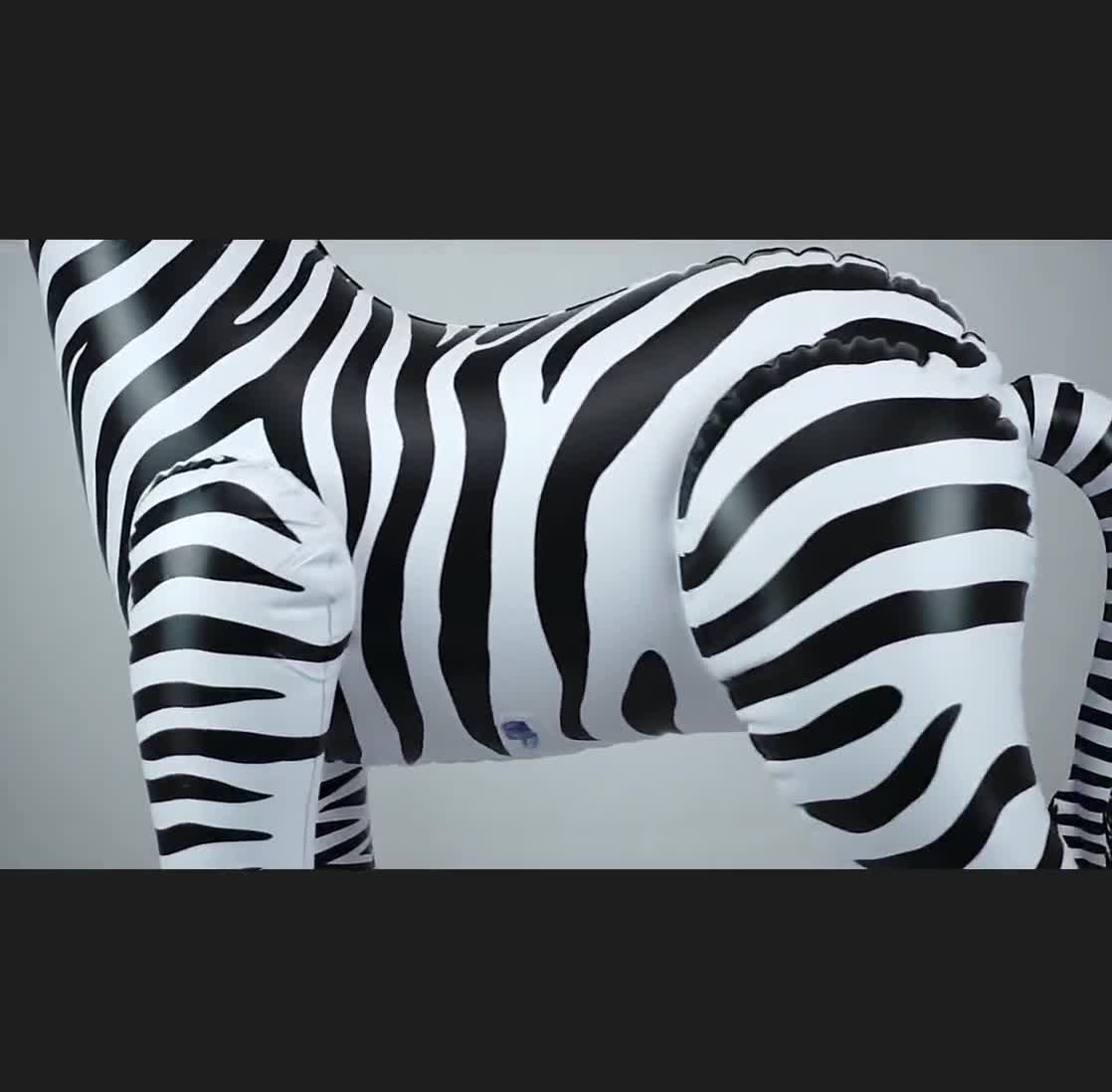 Inflatable Zebra