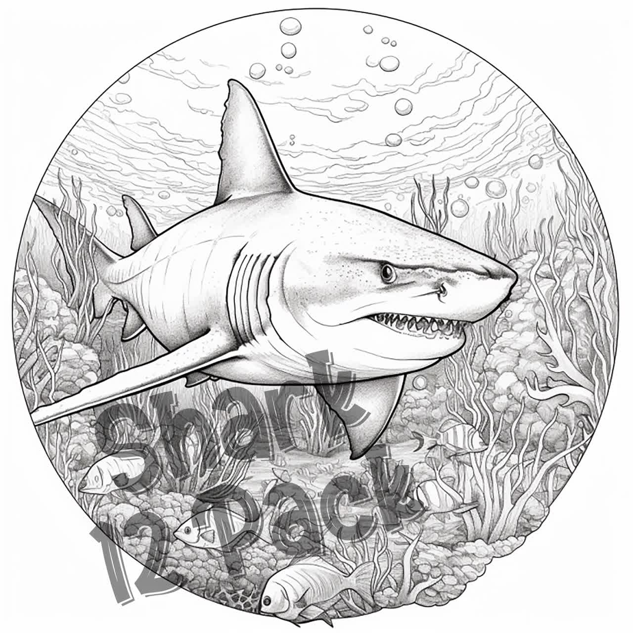 Great White Shark Coloring Page Shark Black And White Coloring Book Or