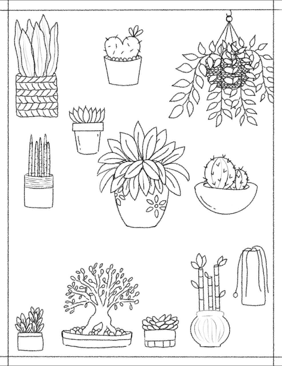 Free Cactus Plant Coloring Pages