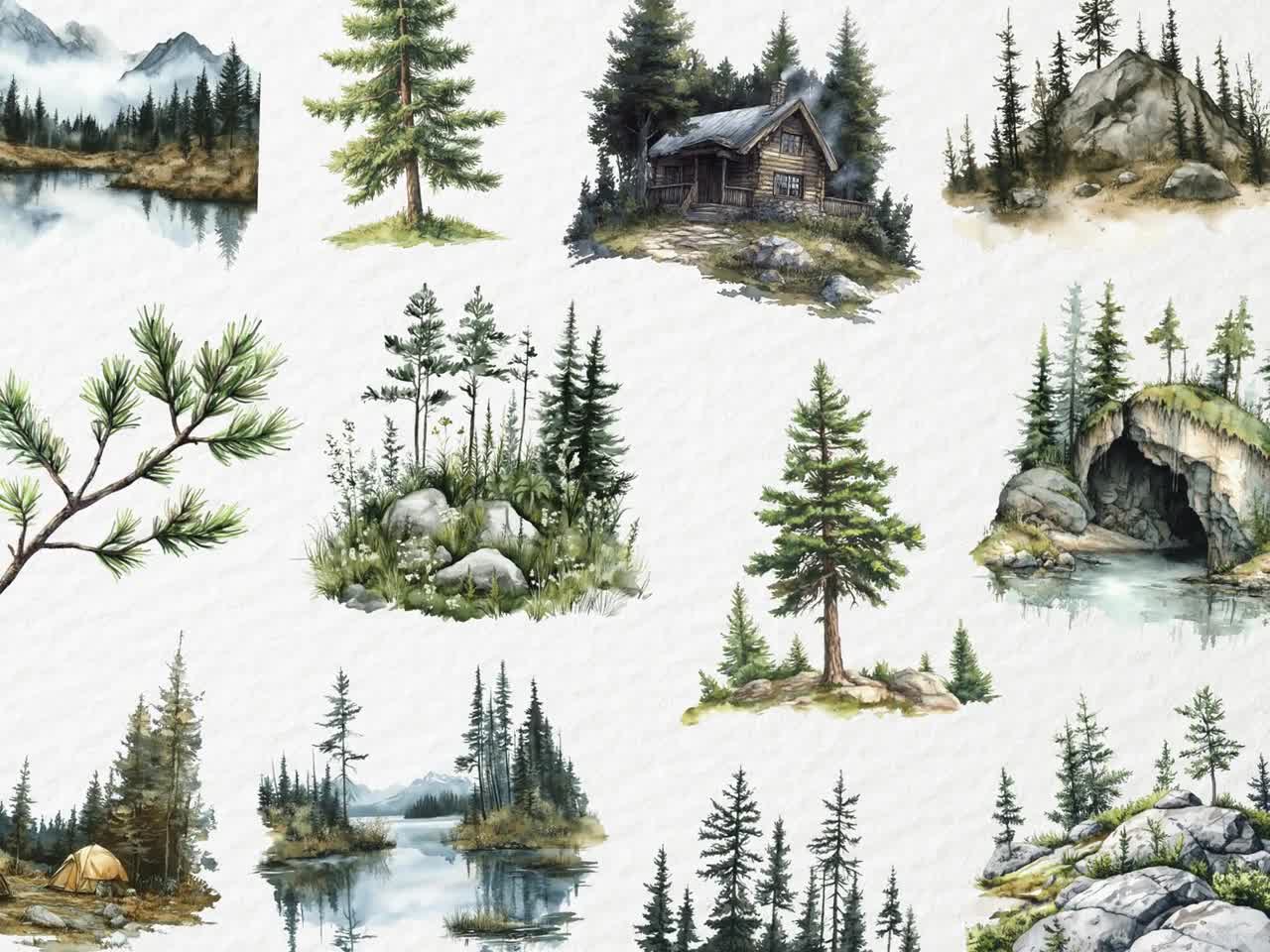 Coniferous Forest Biome Drawing