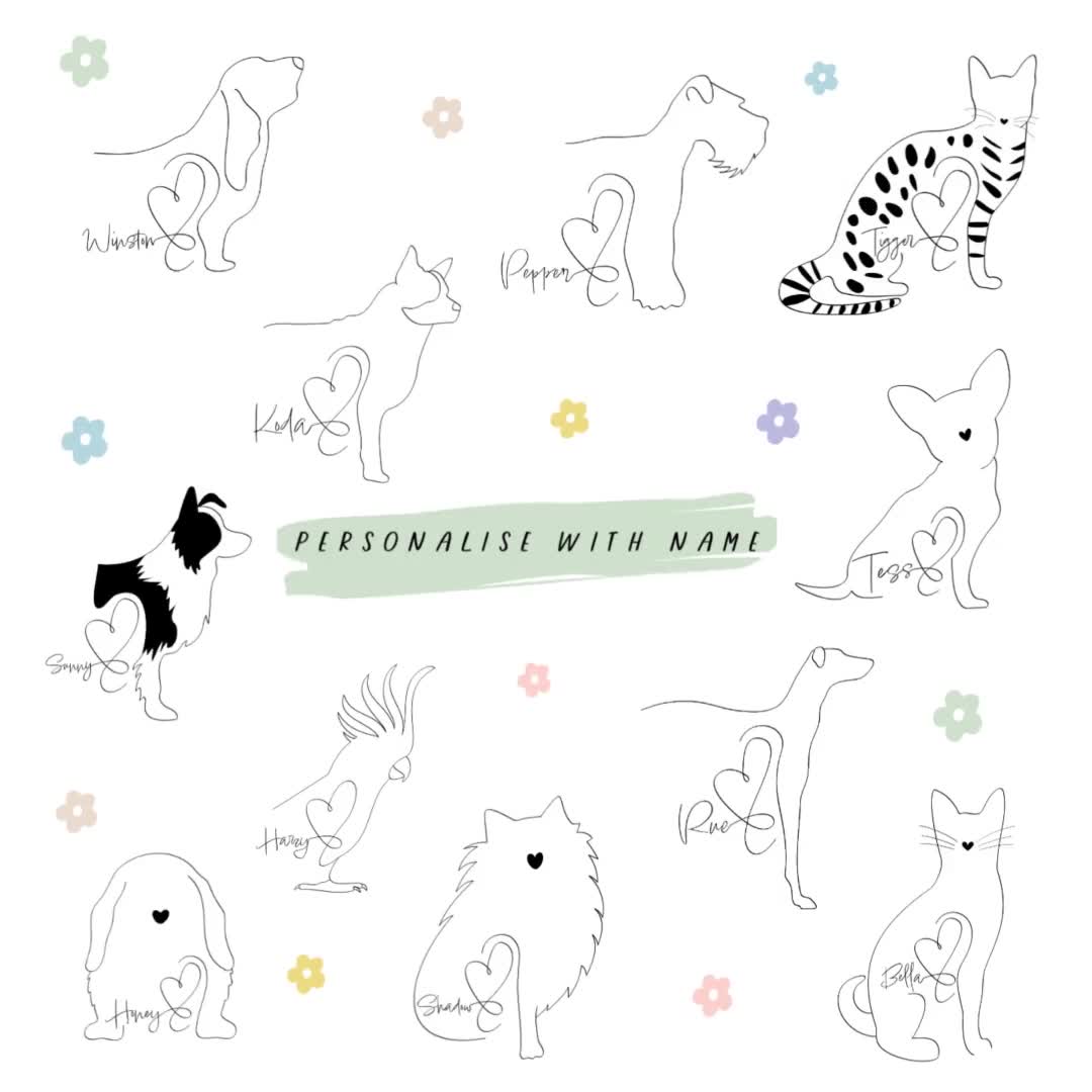 Hoe Teken Je Een Poot