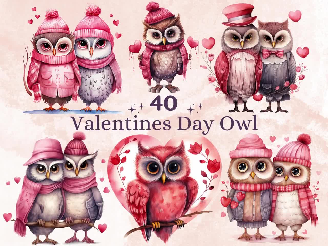Cute Happy Valentines Day Owls