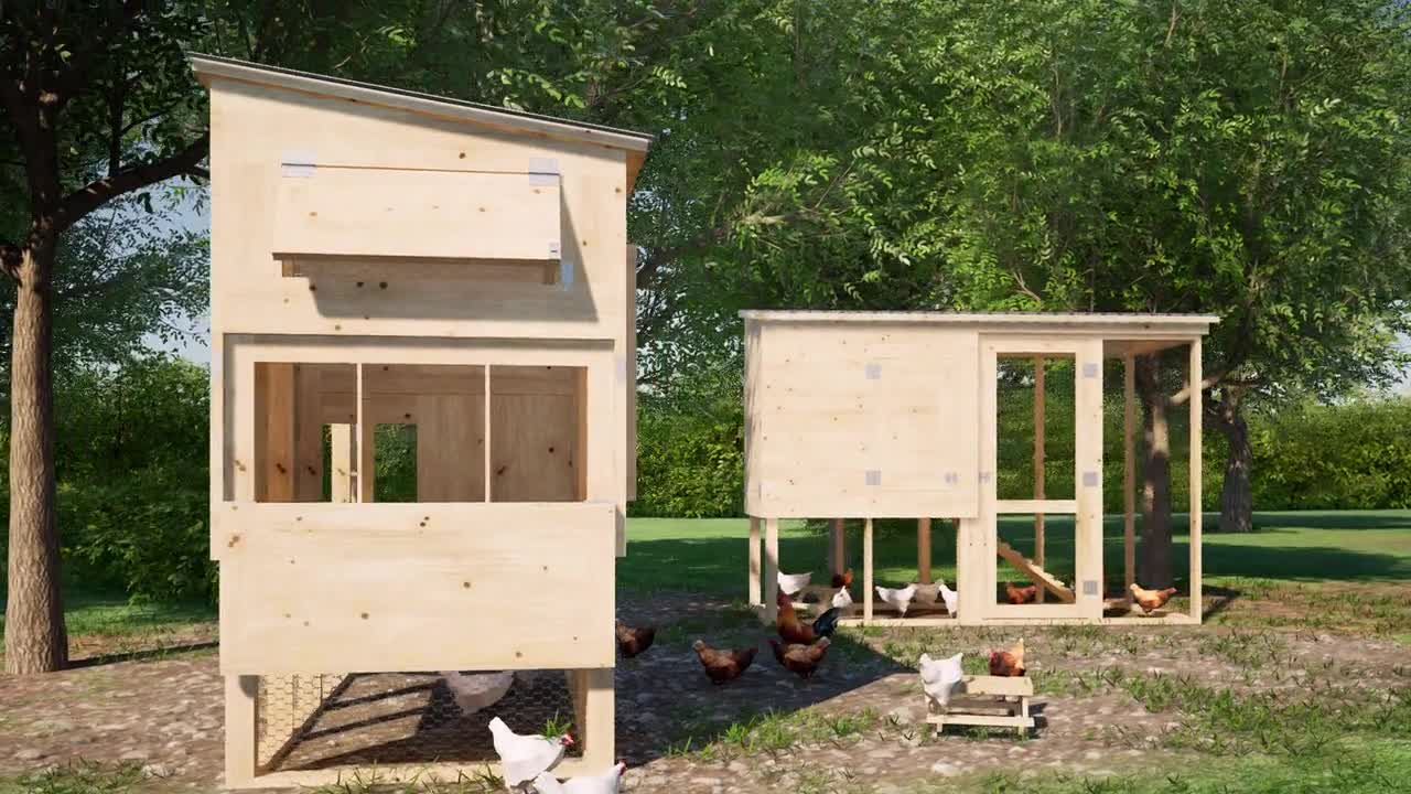 Gallineros Caseros Sencillos