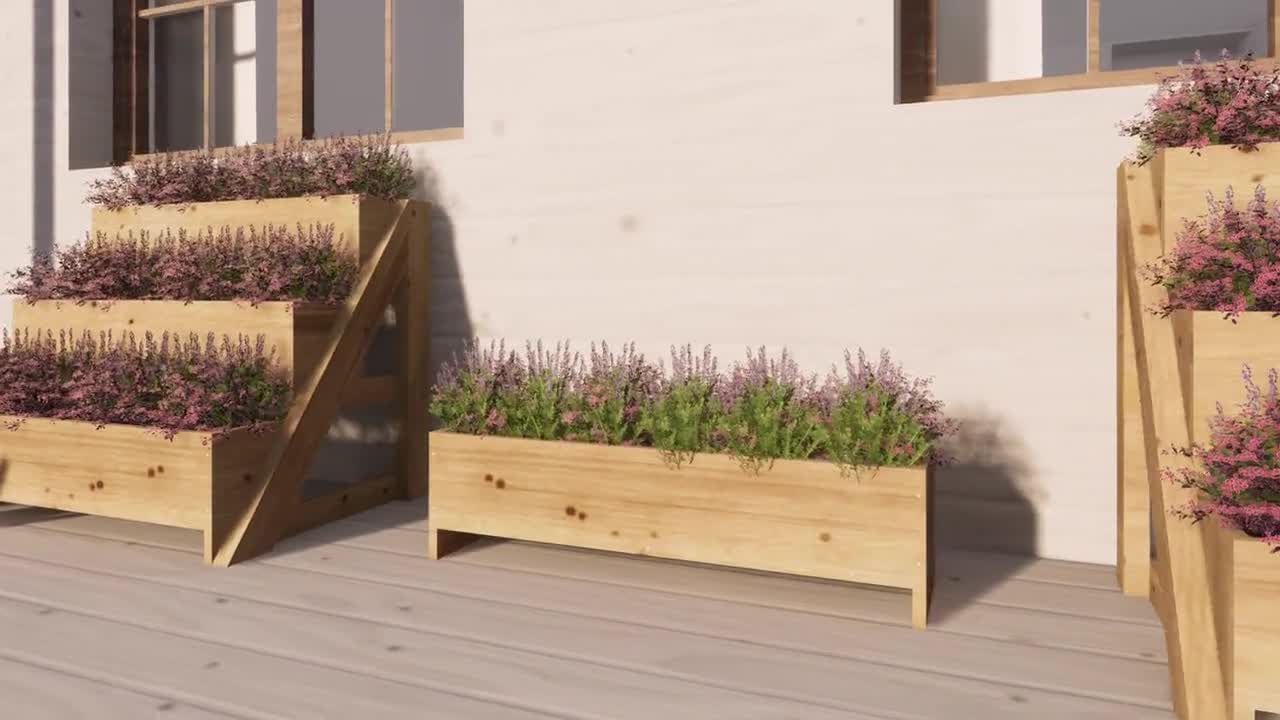 T Rex Planter Box Plans