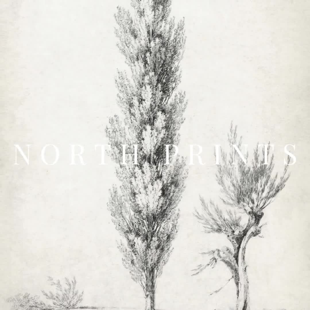 Simple Pencil Art Tree
