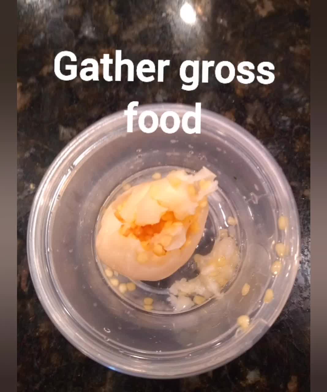 Fear Factor Gross Food