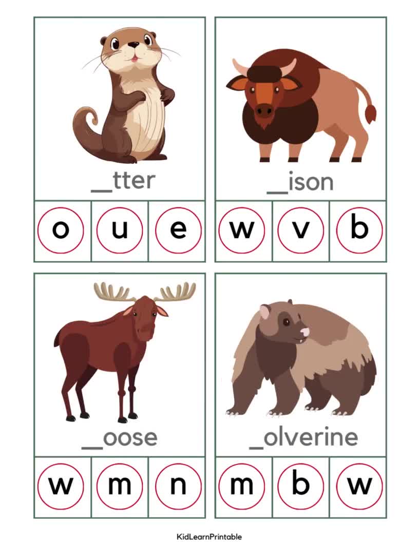 Zoo Animal Sounds For