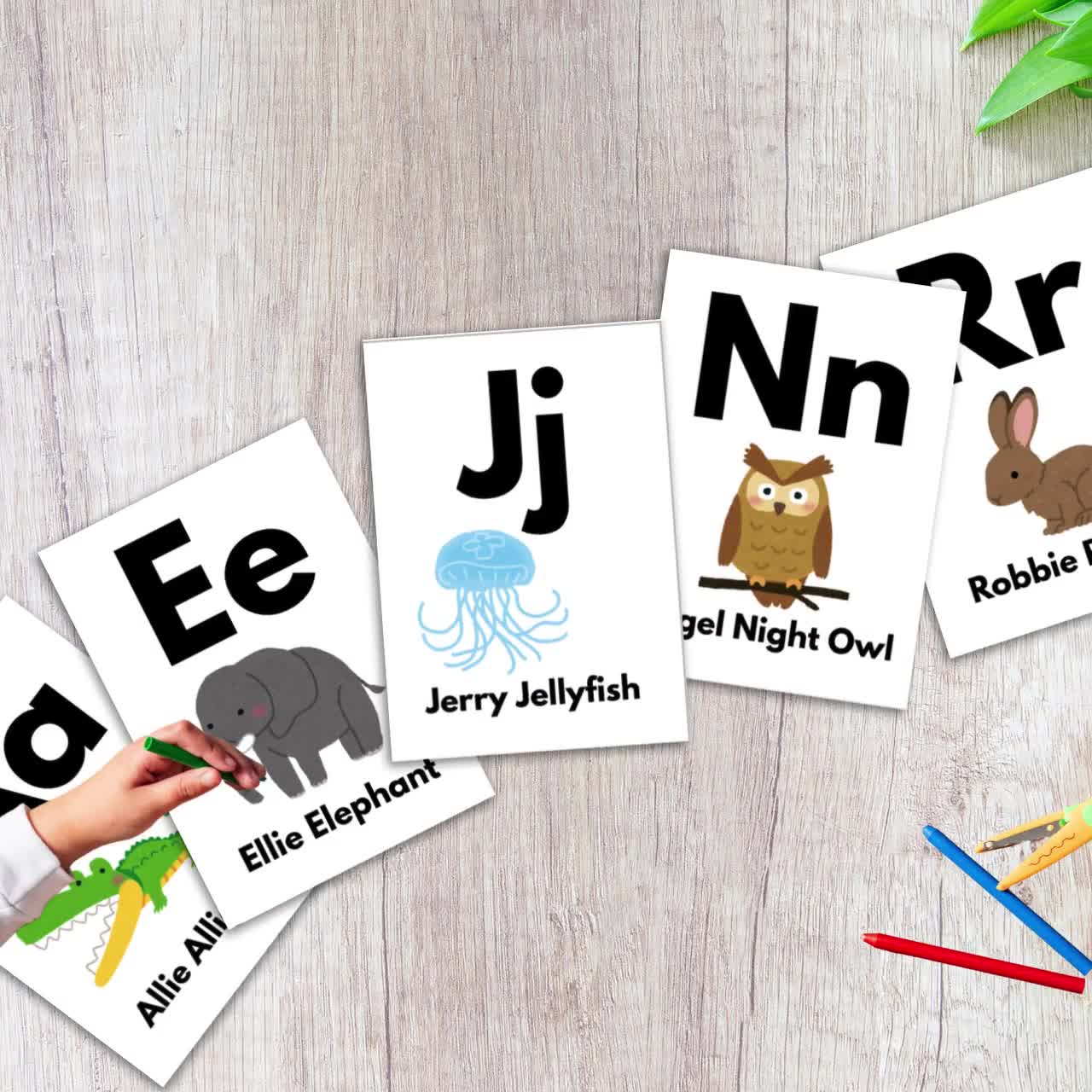 Zoo Phonics Animal Alphabet