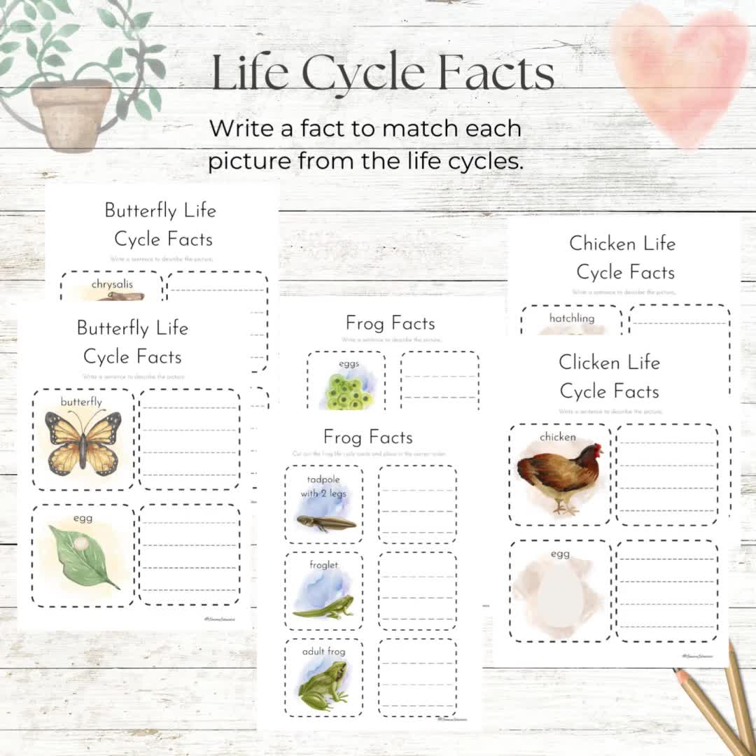 Quotlife Cycle Of A Frogquot Printable Worksheet Life Cycles Pin On