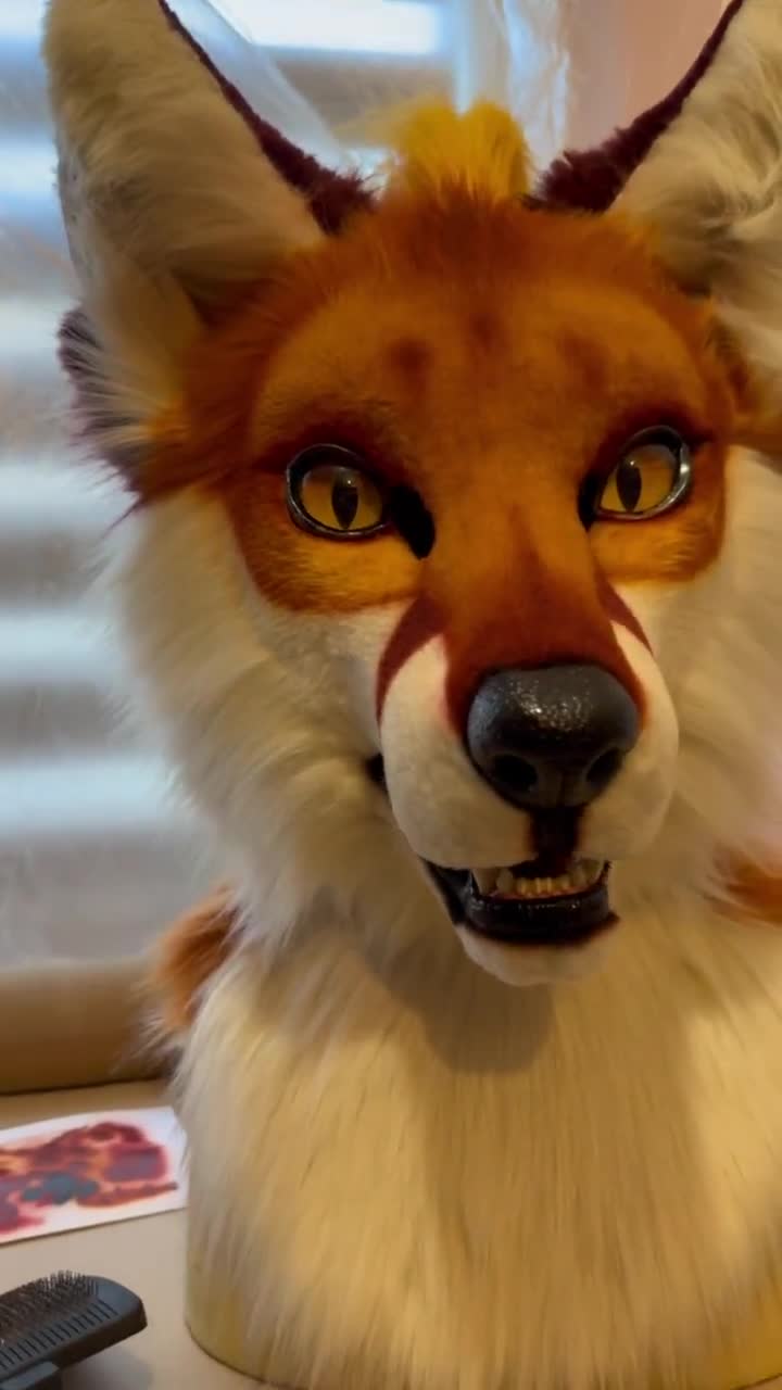 Furry Fandom Lobos Raposas