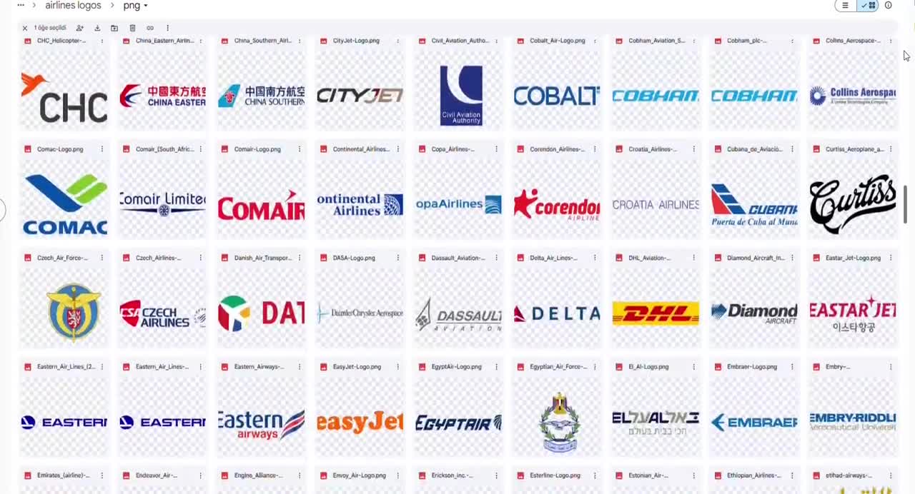 Airline Company Logos