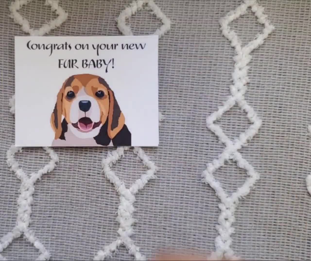 Baby Beagle Puppy's Beagle | Dog Breed Info, Guide & Care