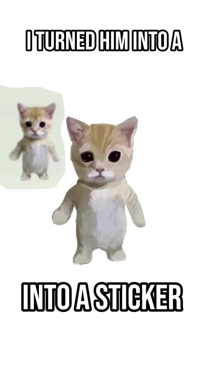 Cat Standing Up Meme