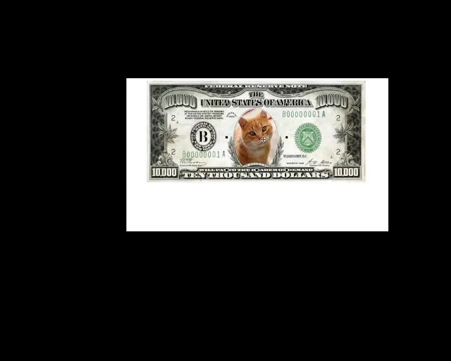 10000 Dollar Bill Figure